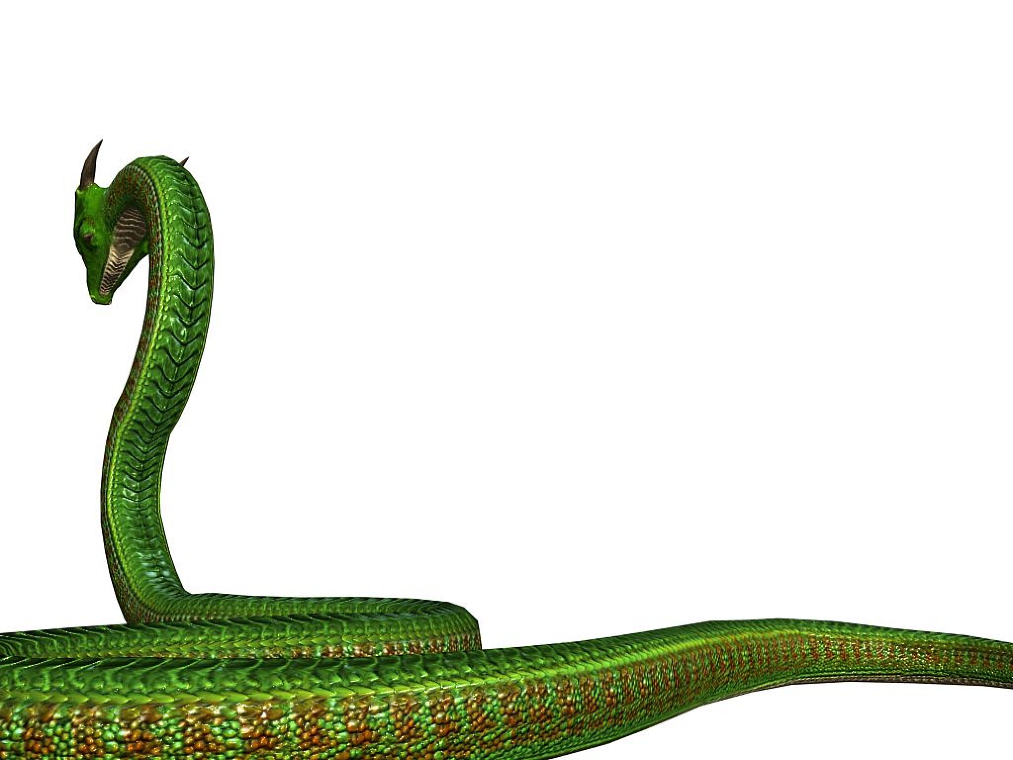 3DRT – Fantasy Snake Low-poly 3D model – Godot Assets Marketplace