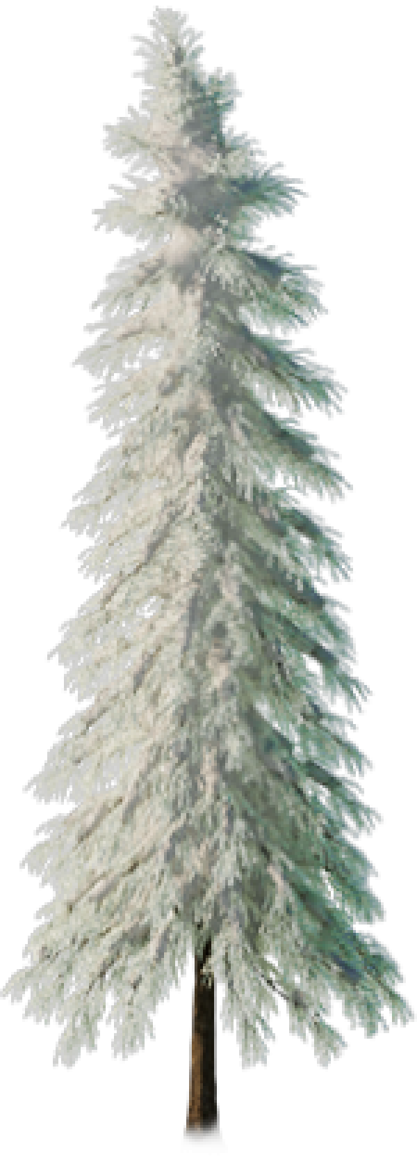 23 Winter Loop Animated 2d Trees! – Godot Assets Marketplace