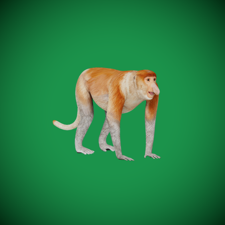 Proboscis Monkey Primate – Godot Assets Marketplace
